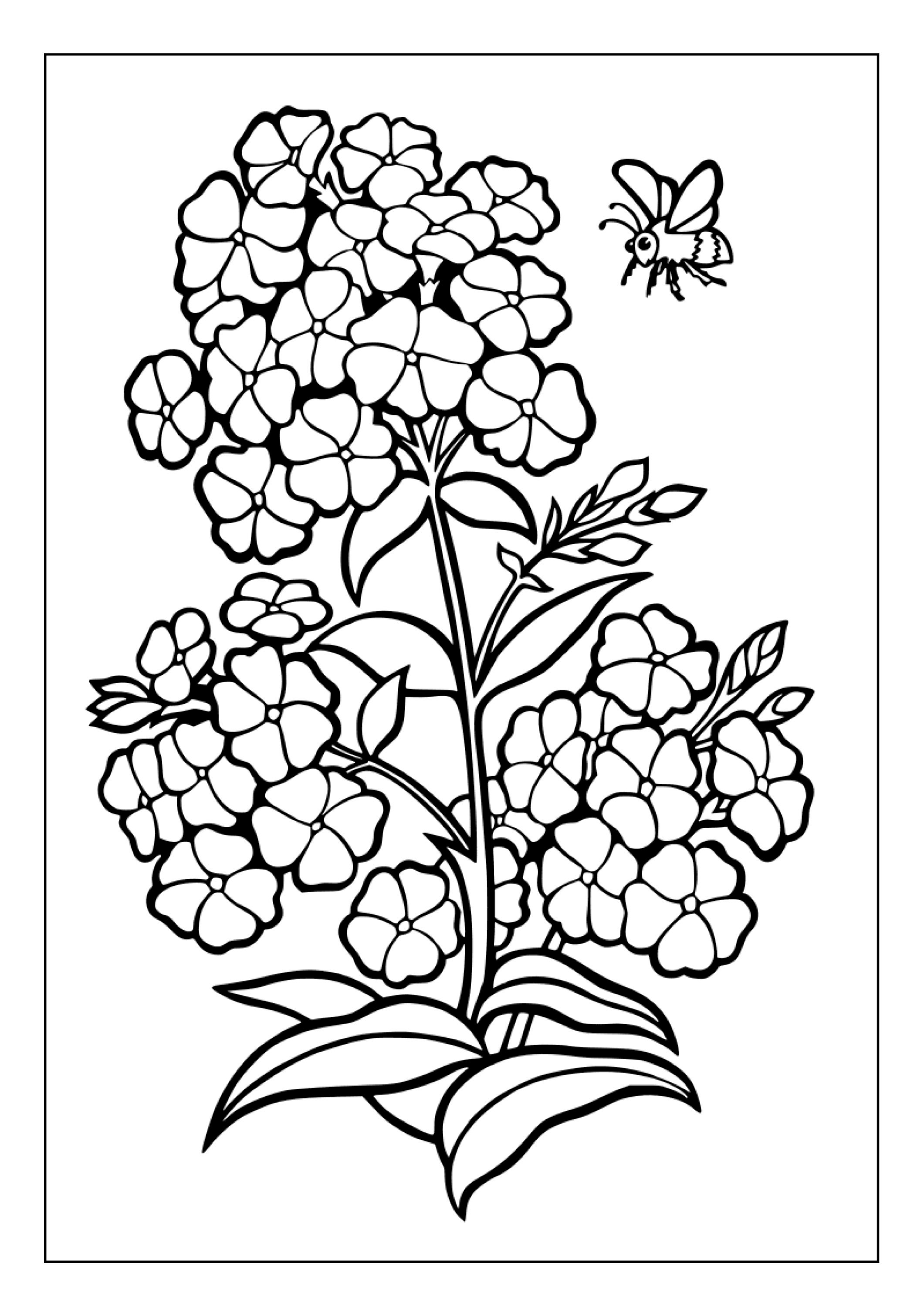 Printable Flowers Coloring Pages for Kids and Adults 70 Pages Instant ...
