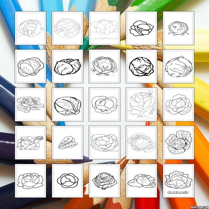 Printable Cabbage Coloring Pages for Kids & Adults | 30 Pages | Instant ...