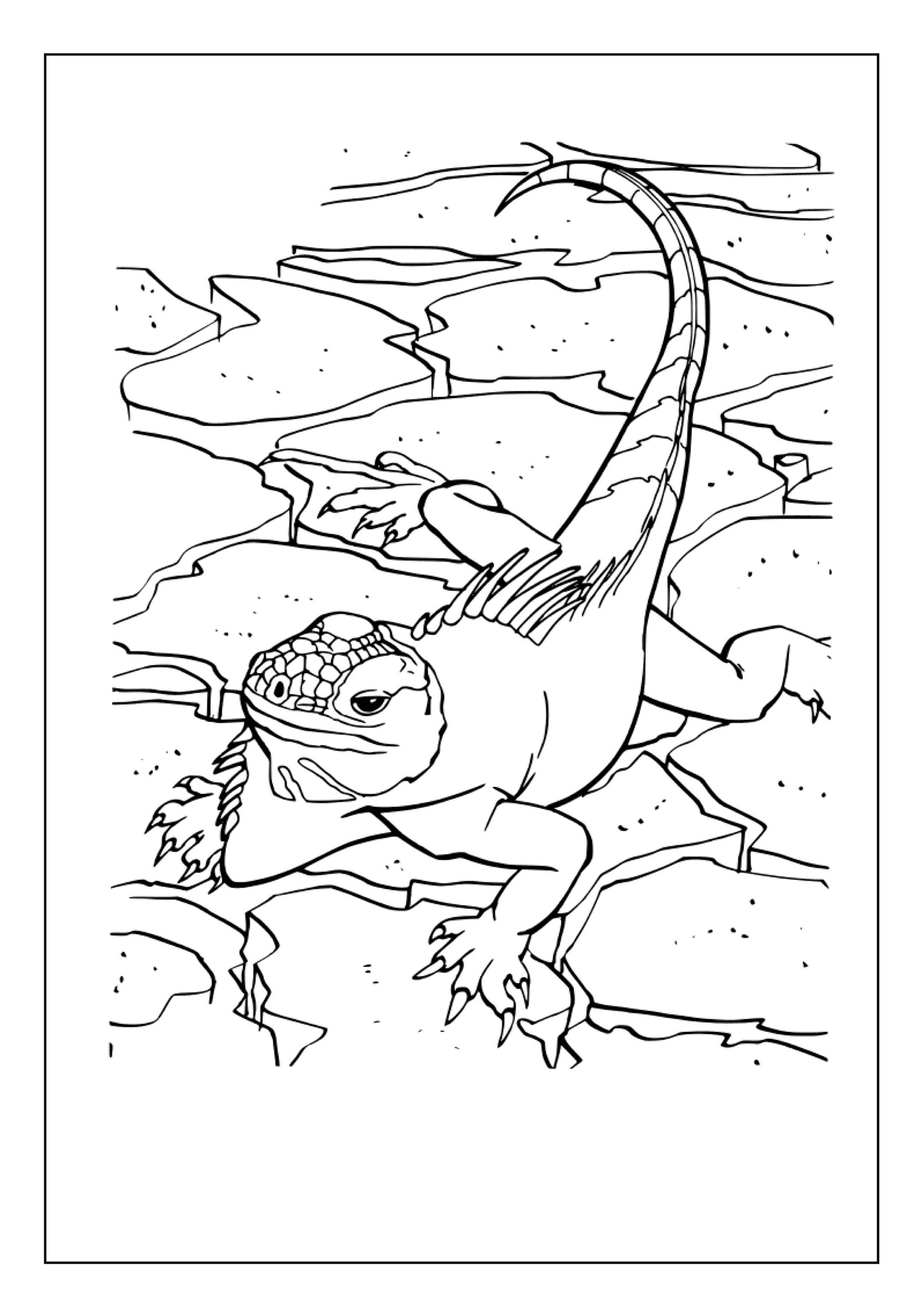 Printable Lizard Coloring Pages for Kids and Adults | 90 Pages ...