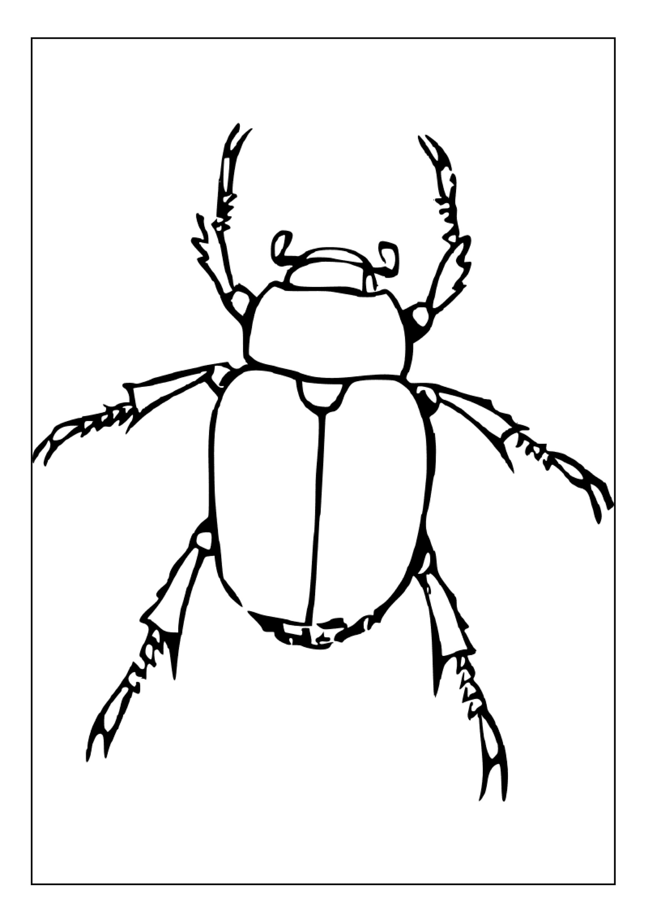Printable Beetles Coloring Pages for Kids & Adults | 45 Pages | Instant ...