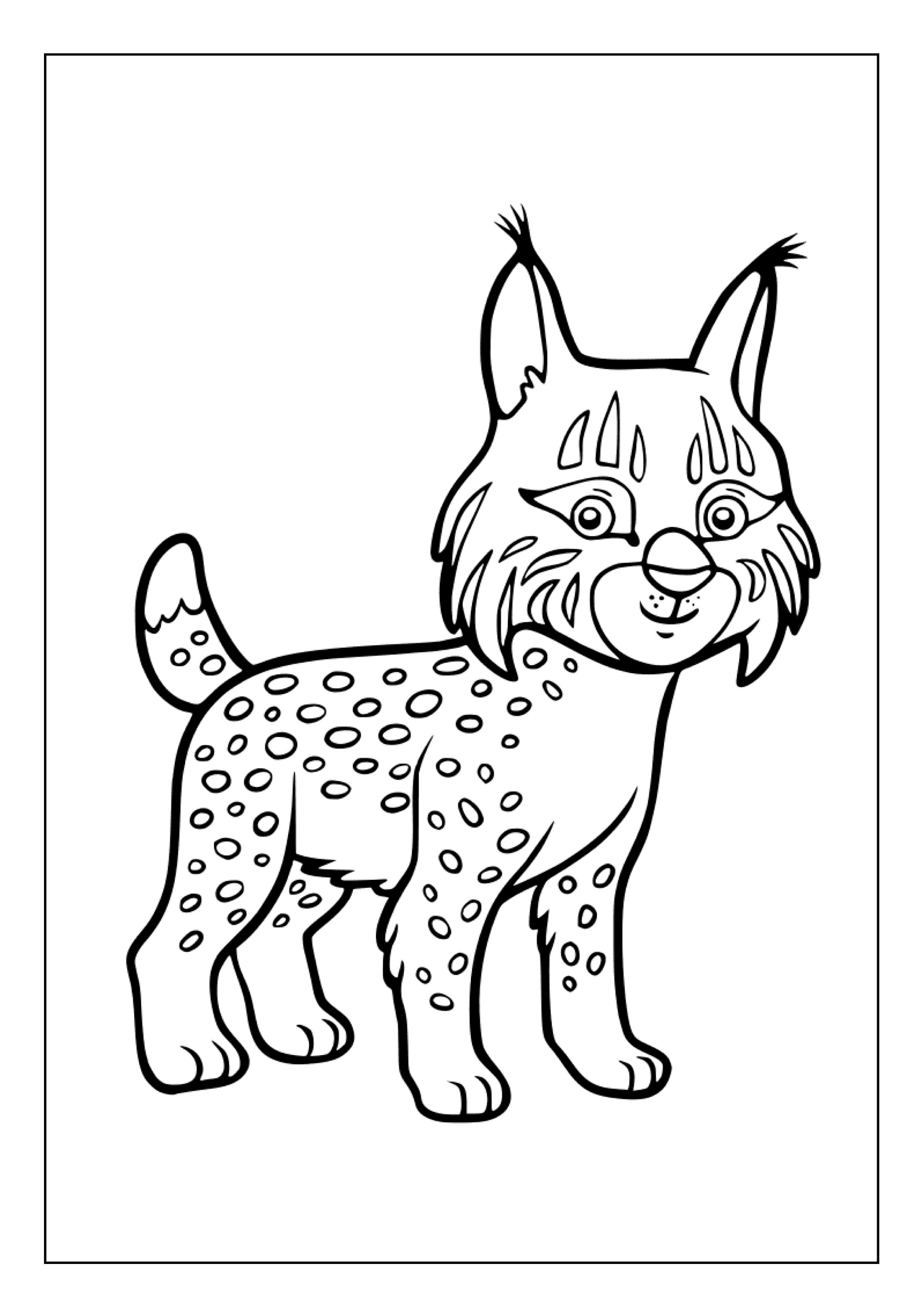 Printable Lynx Coloring Pages for Kids & Adults | 30 Pages | Instant ...