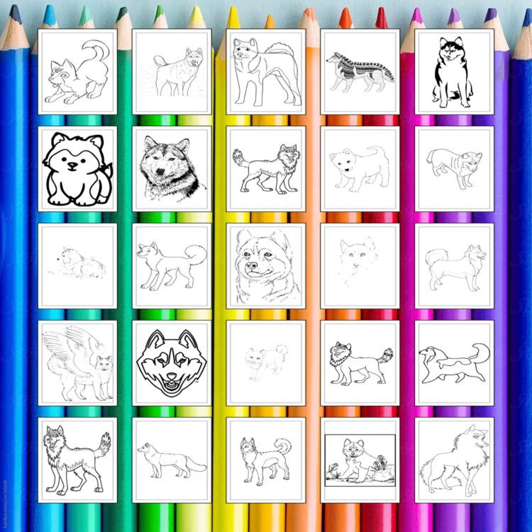 Printable Husky Coloring Pages for Kids and Adults | 45 Pages | Instant ...