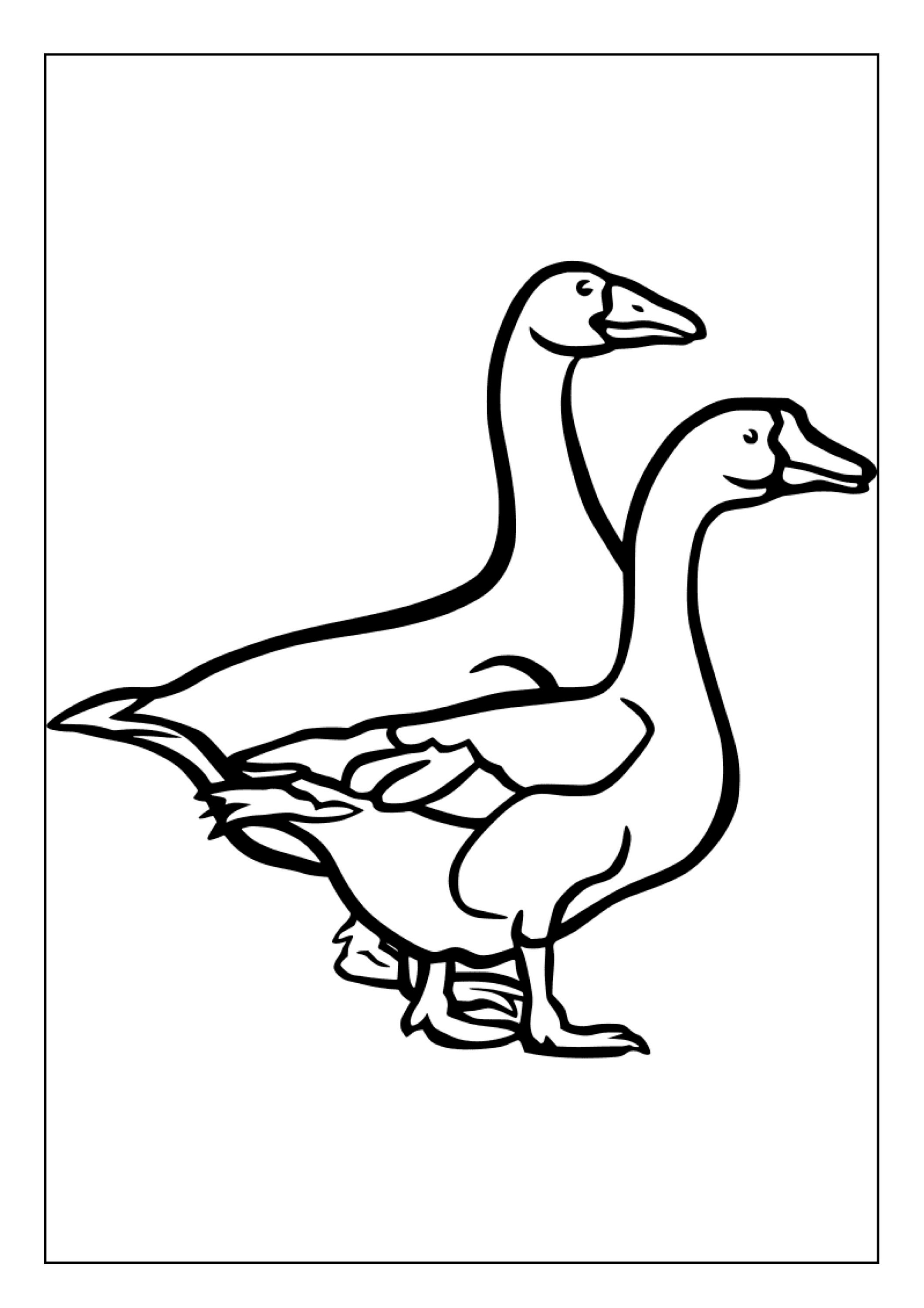 Printable Goose Coloring Pages for Kids & Adults | 30 Pages | Instant ...