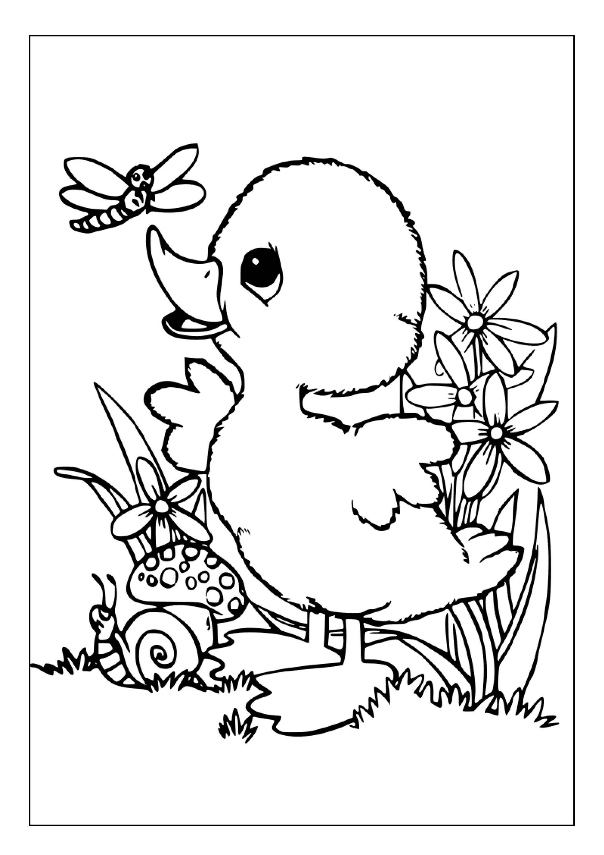 Printable Ducks Coloring Pages for Kids and Adults 50 Pages Instant ...