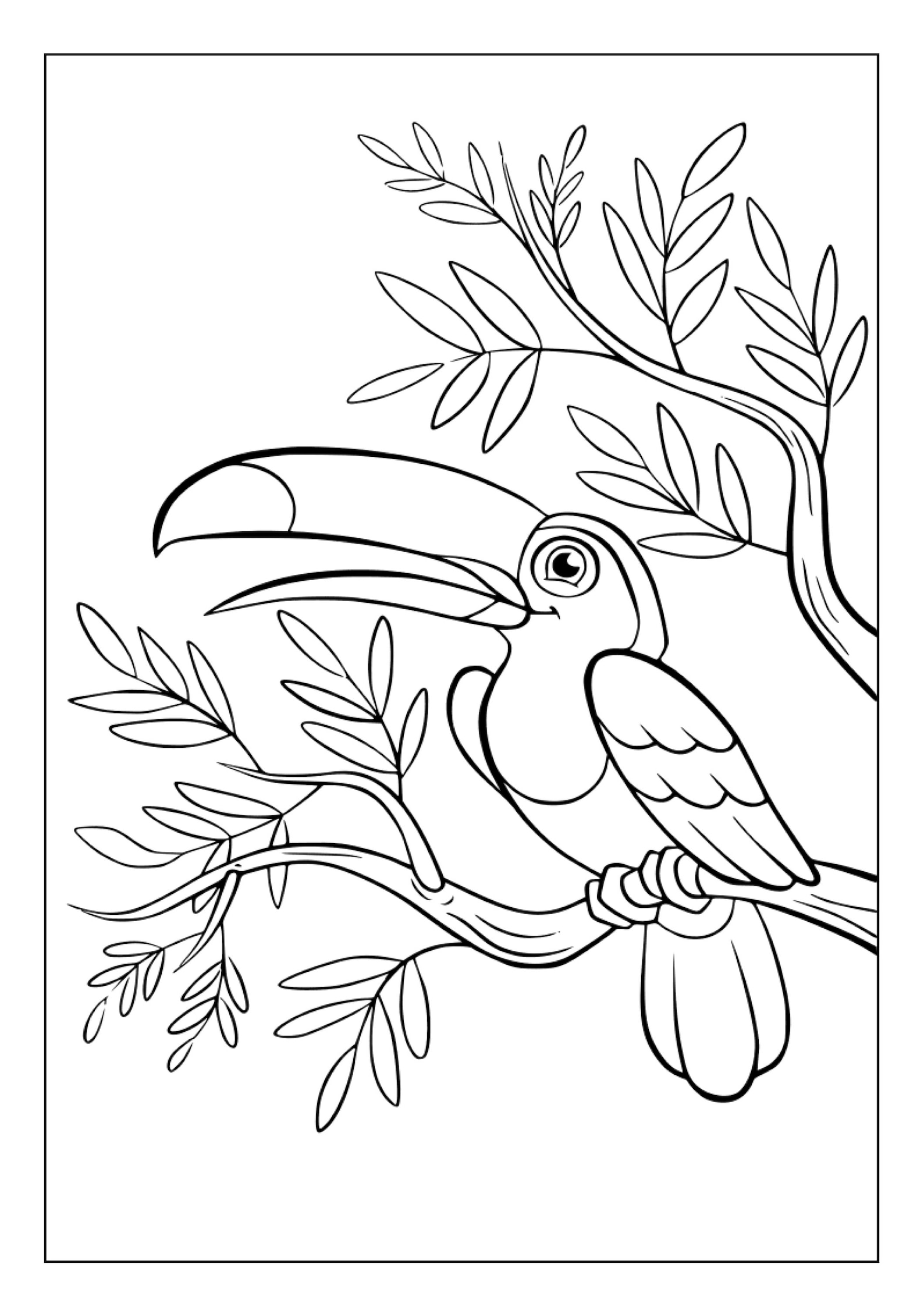 Printable Toucan Coloring Pages for Kids & Adults | 35 Pages | Instant ...