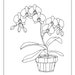 Printable Orchid Coloring Pages for Kids & Adults | 30 Pages | Instant ...