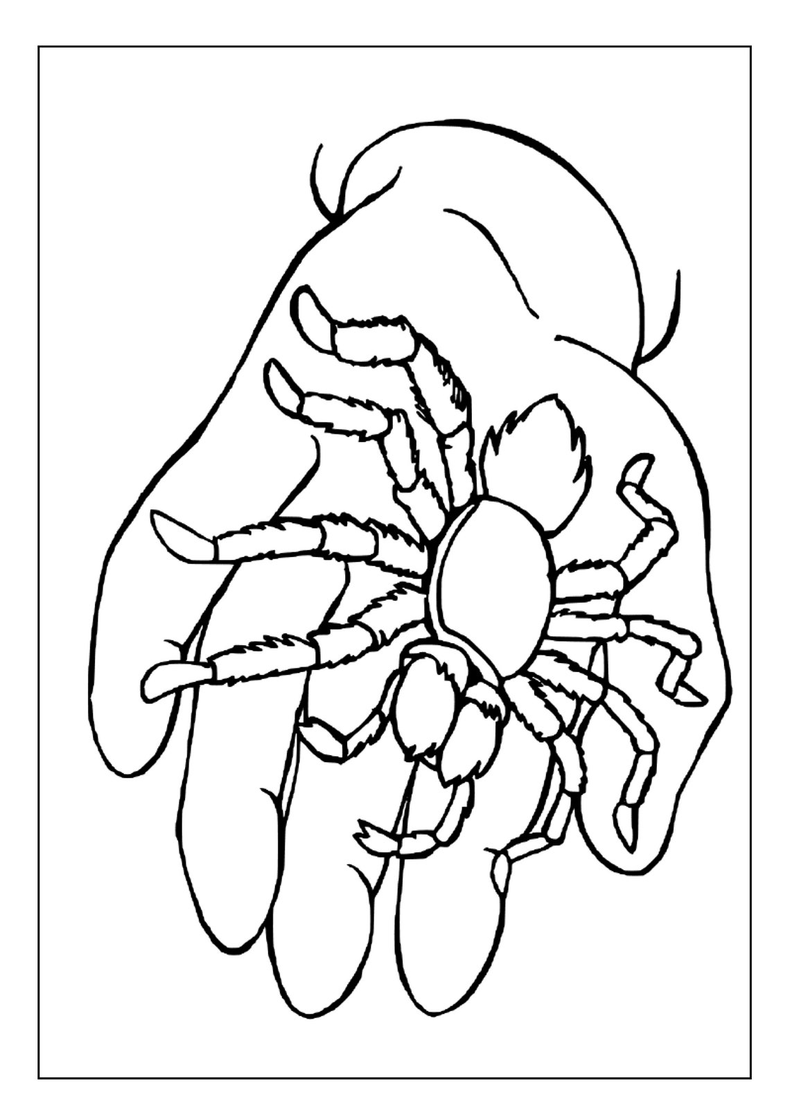 Printable Insects Coloring Pages for Kids and Adults 90 Pages Instant ...