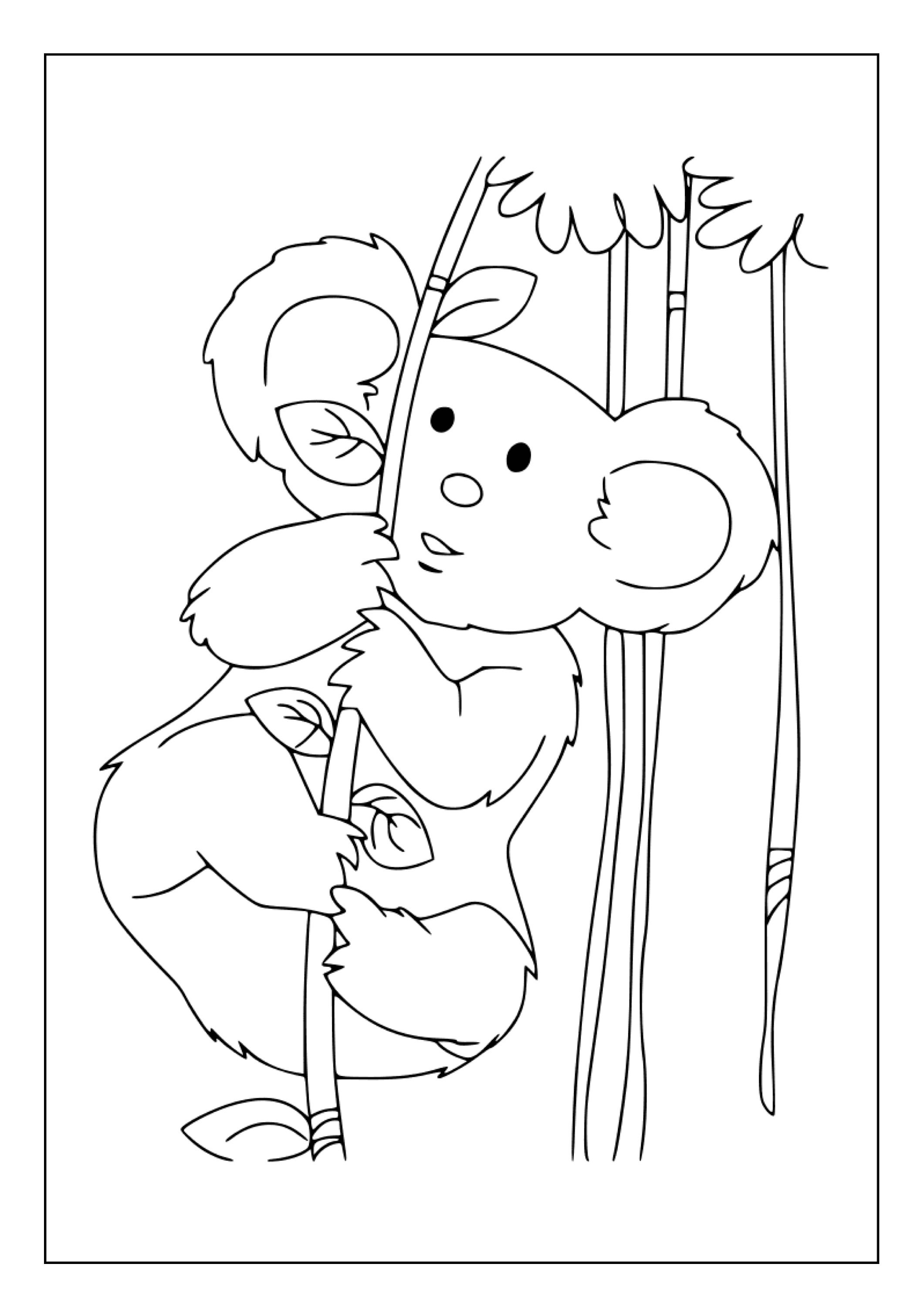 Printable Koala Coloring Pages for Kids and Adults 100 Pages Instant ...