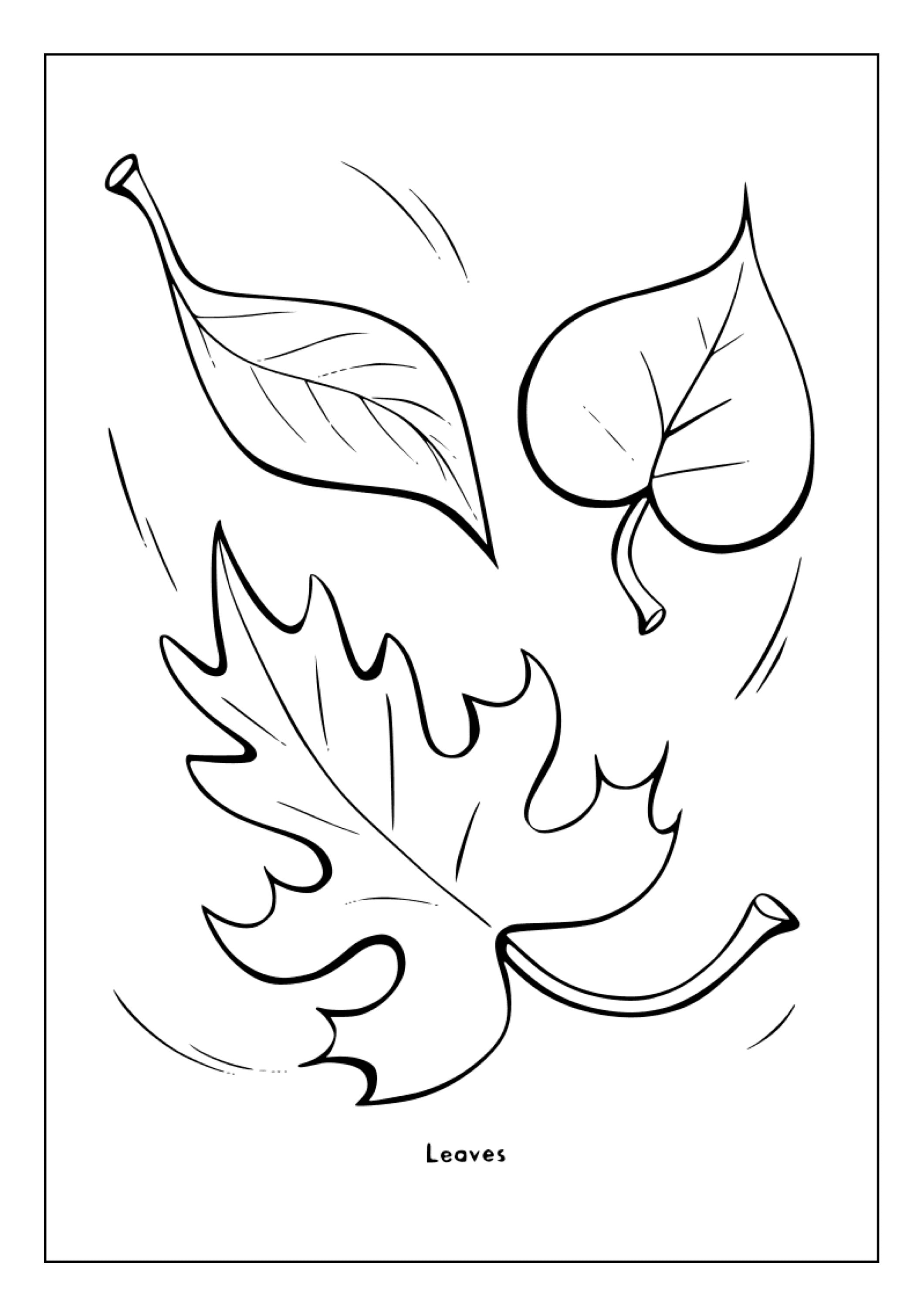 Printable Fall Leaf Coloring Pages for Kids and Adults | 60 Pages ...