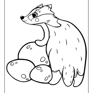 Printable Badger Coloring Pages for Kids & Adults | 30 Pages | Instant ...