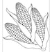 Printable Corn Coloring Pages for Kids & Adults | 25 Pages | Instant ...