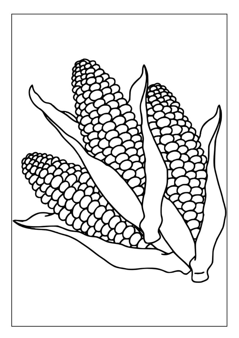 Printable Corn Coloring Pages for Kids & Adults | 25 Pages | Instant ...