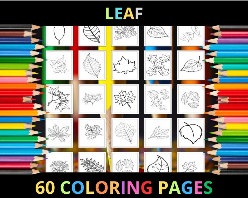 Printable Fall Leaf Coloring Pages for Kids and Adults | 60 Pages ...