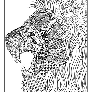 Printable Zentangle Coloring Pages for Kids and Adults | 130 Pages ...