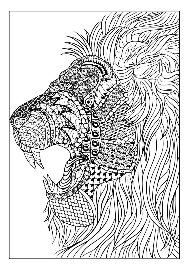 Printable Zentangle Coloring Pages for Kids and Adults | 130 Pages ...