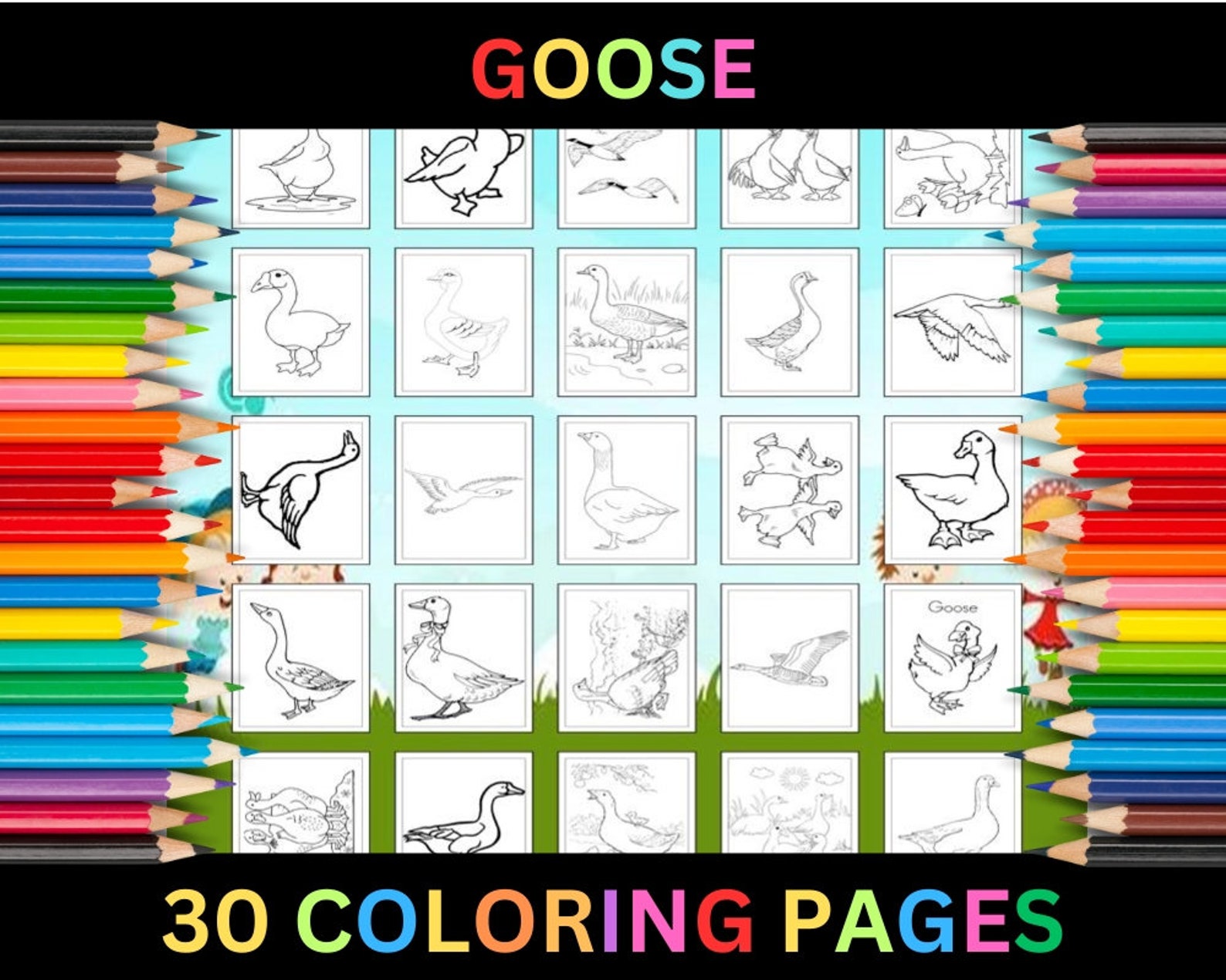 Printable Goose Coloring Pages for Kids & Adults | 30 Pages | Instant ...