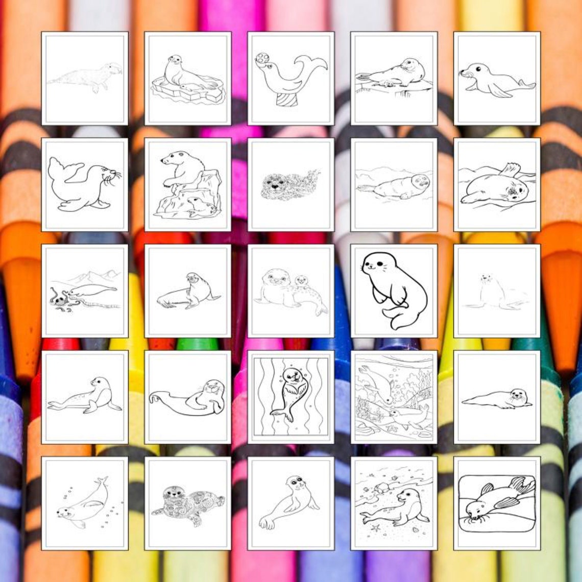 Printable Seals Coloring Pages for Kids and Adults | 70 Pages | Instant ...