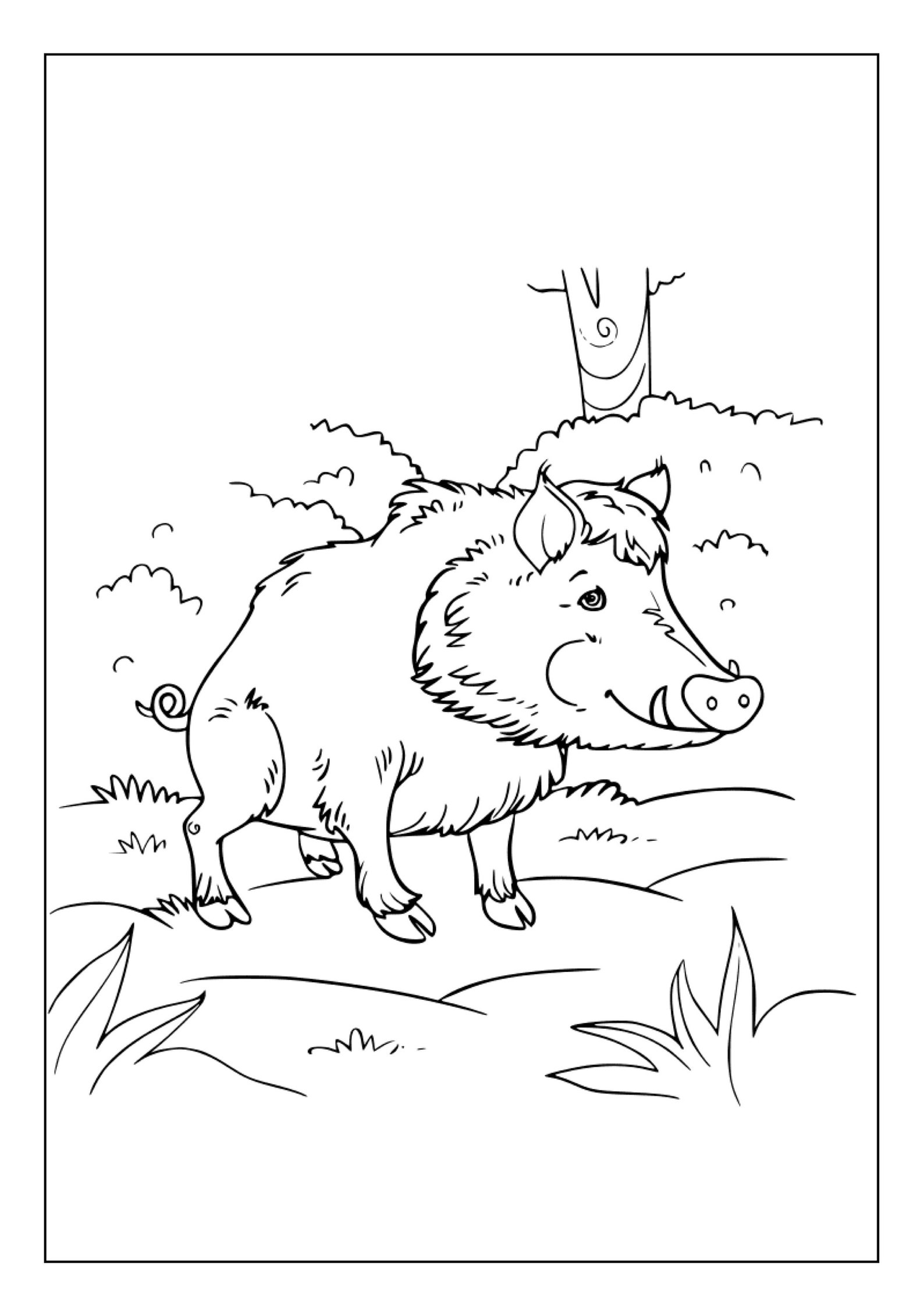 Printable Boar Coloring Pages for Kids & Adults |30 Pages | Instant ...