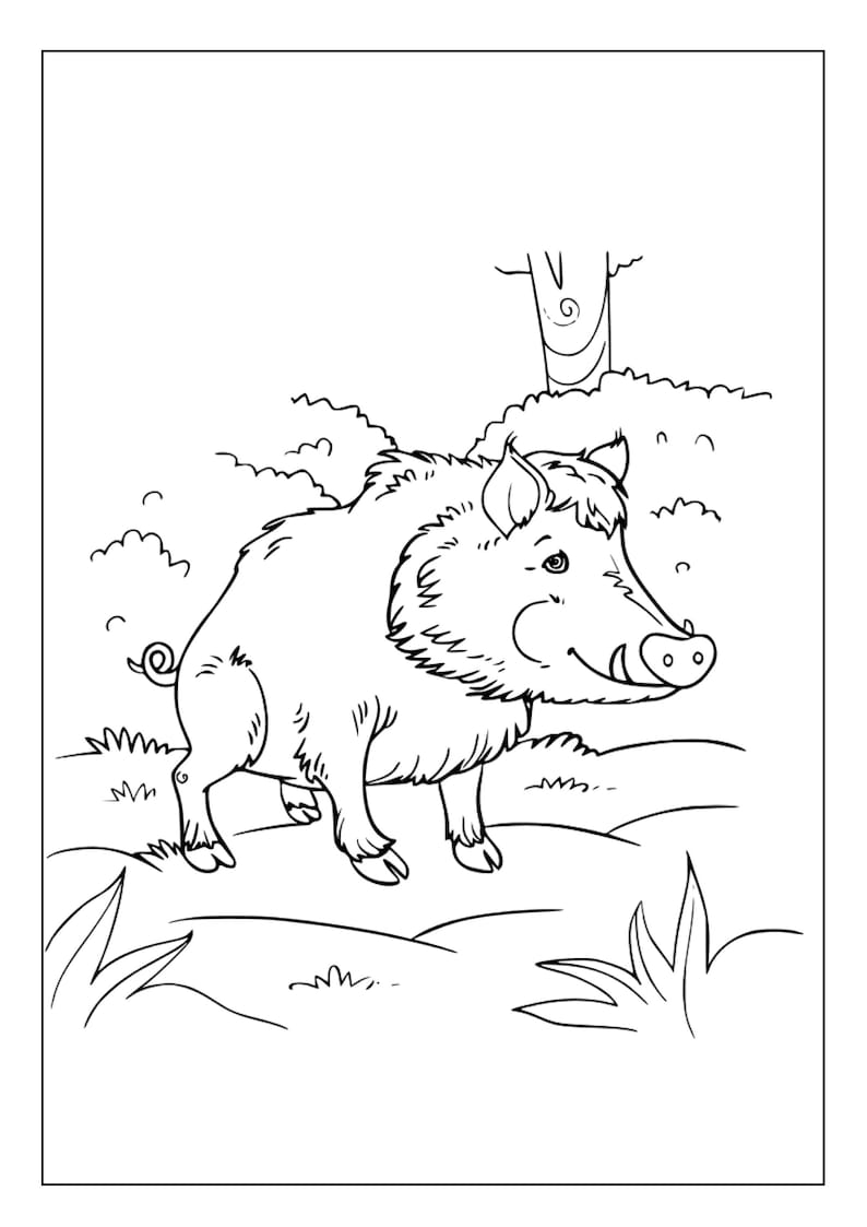 Printable Boar Coloring Pages for Kids & Adults |30 Pages | Instant ...