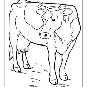 Printable Cow Coloring Pages for Kids and Adults | 90 Pages | Instant ...