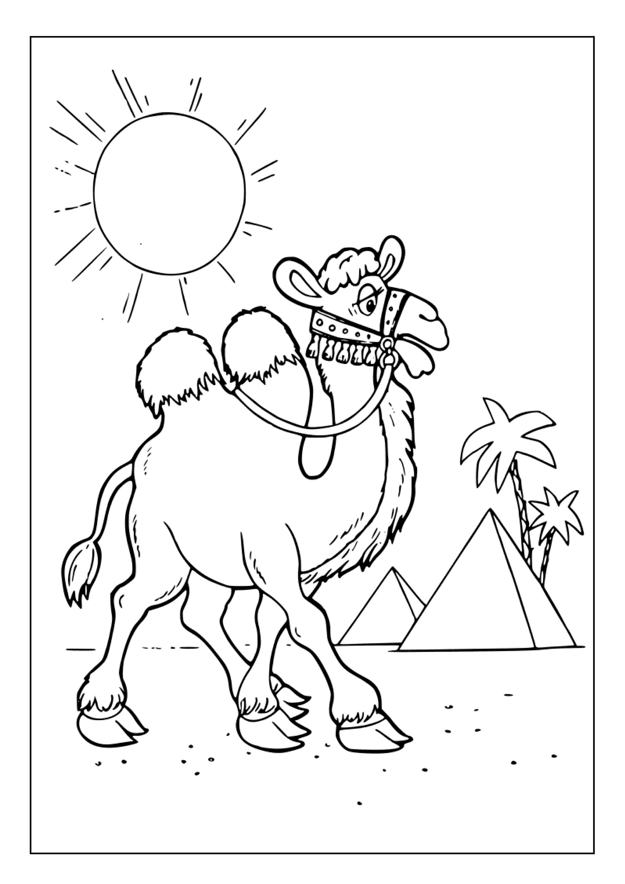 Printable Camels Coloring Pages for Kids & Adults | 50 Pages | Instant ...