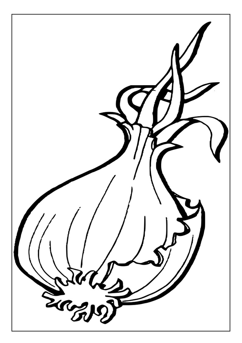 Printable Onion Coloring Pages for Kids & Adults | 30 Pages | Digital ...