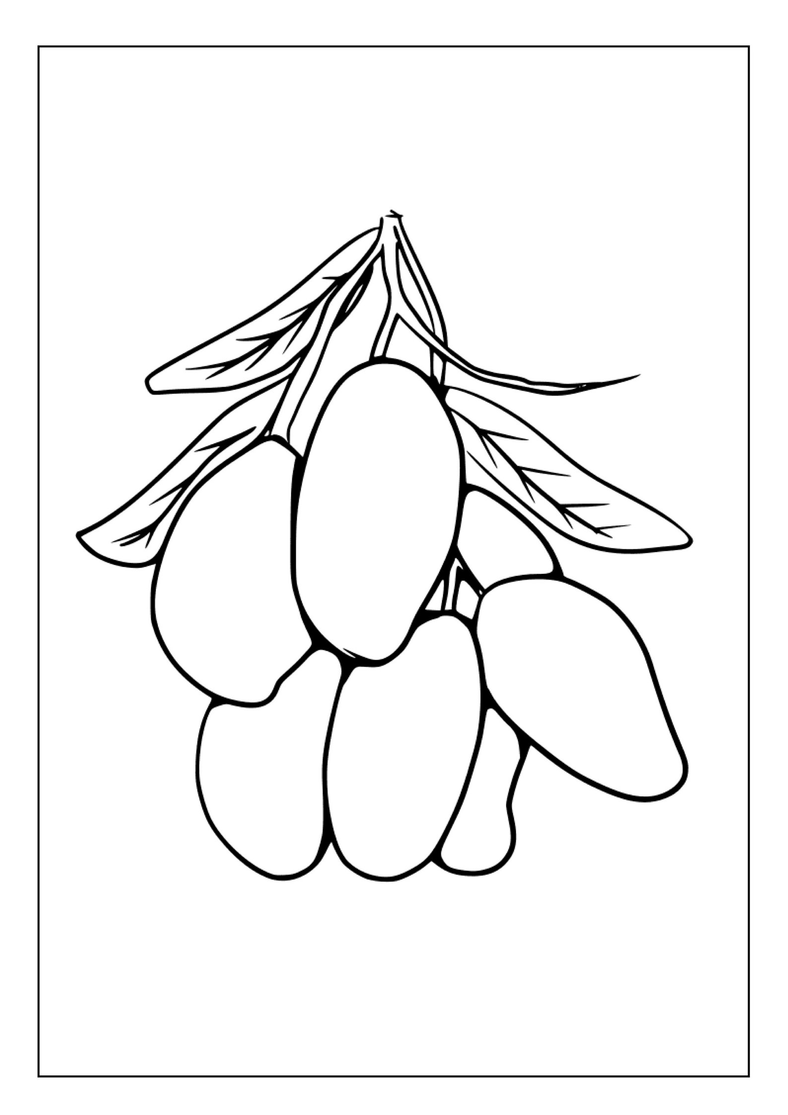 Printable Mango Coloring Pages for Kids & Adults | 30 Pages | Instant ...