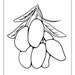 Printable Mango Coloring Pages for Kids & Adults | 30 Pages | Instant ...