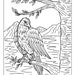 Printable Bald Eagle Coloring Pages for Kids & Adults 30 Pages Digital ...