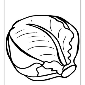 Printable Cabbage Coloring Pages for Kids & Adults | 30 Pages | Instant ...