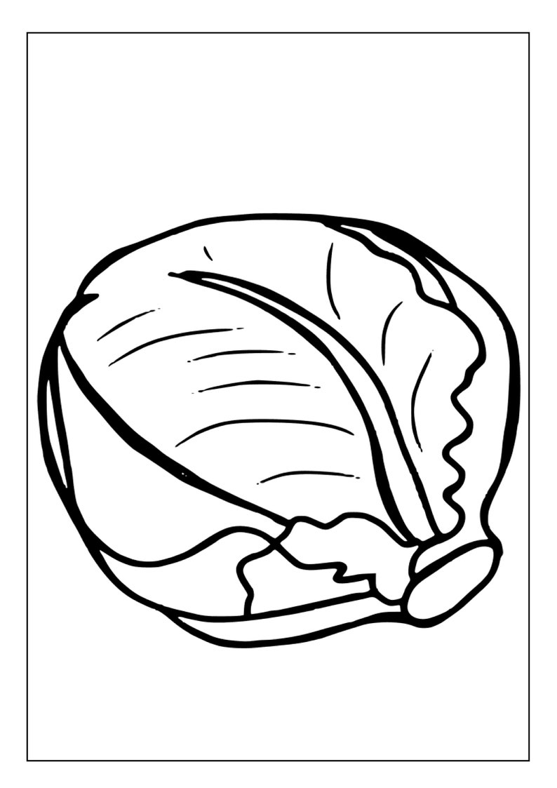 Printable Cabbage Coloring Pages for Kids & Adults | 30 Pages | Instant ...