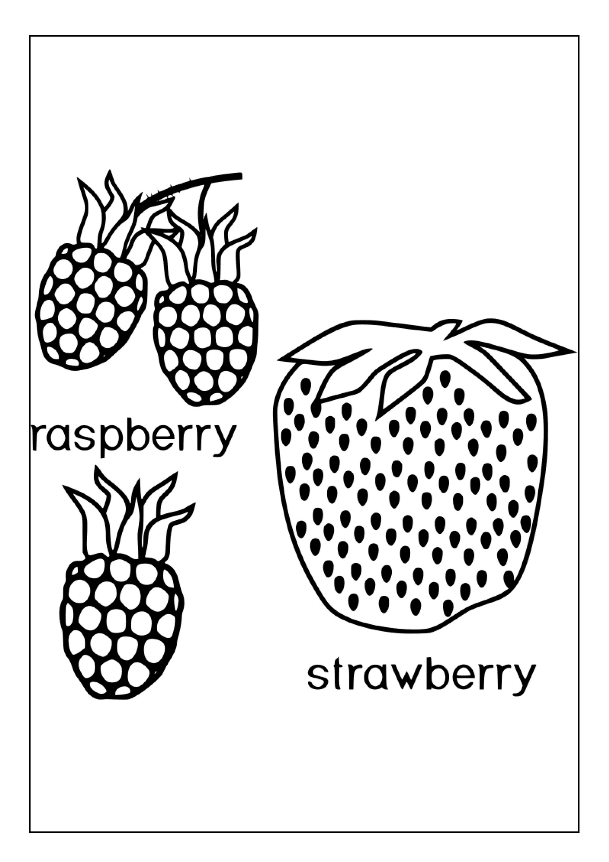 Printable Berries Coloring Pages for Kids & Adults | 85 Pages | Instant ...