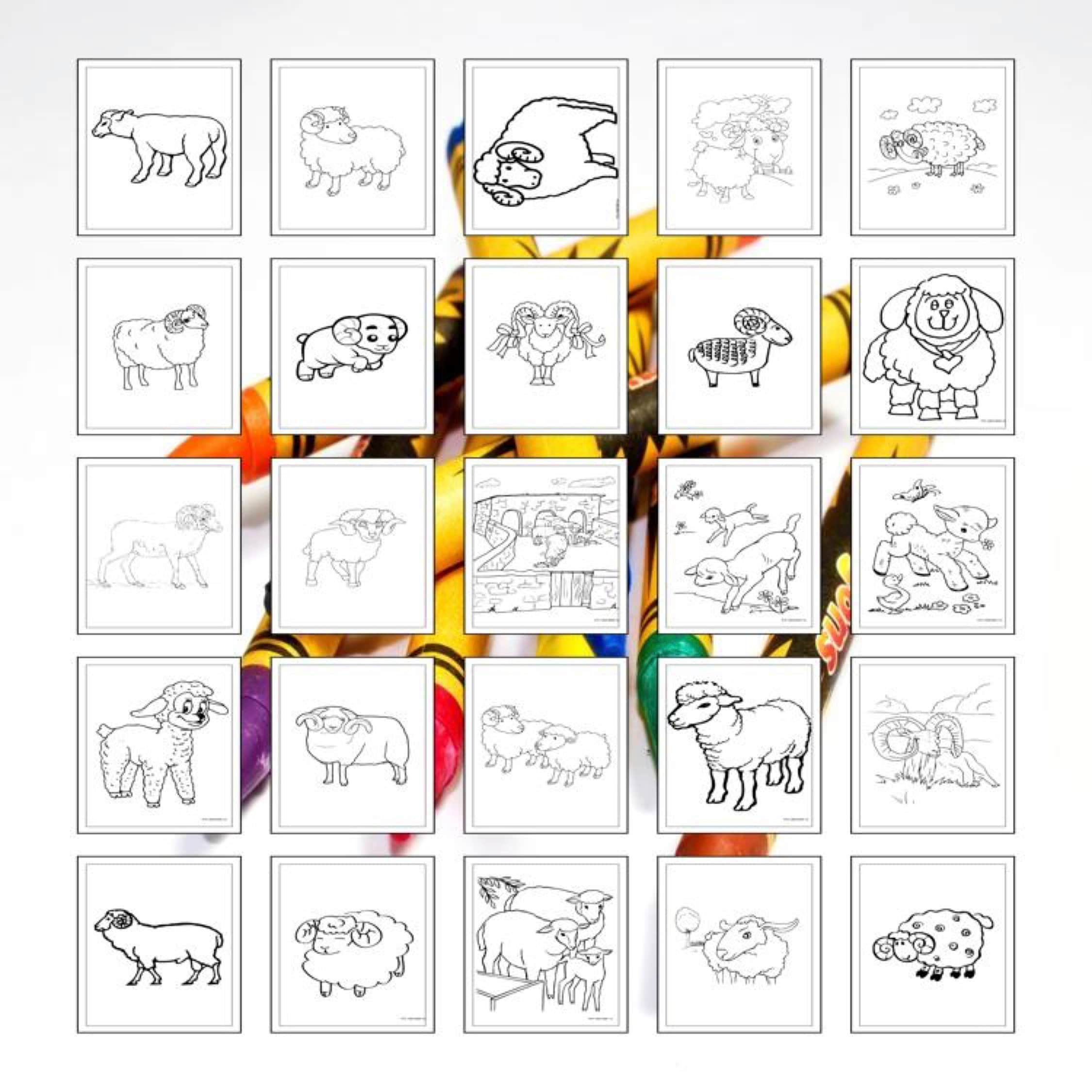 Printable Ram Coloring Pages for Kids & Adults | 35 Pages | Instant ...