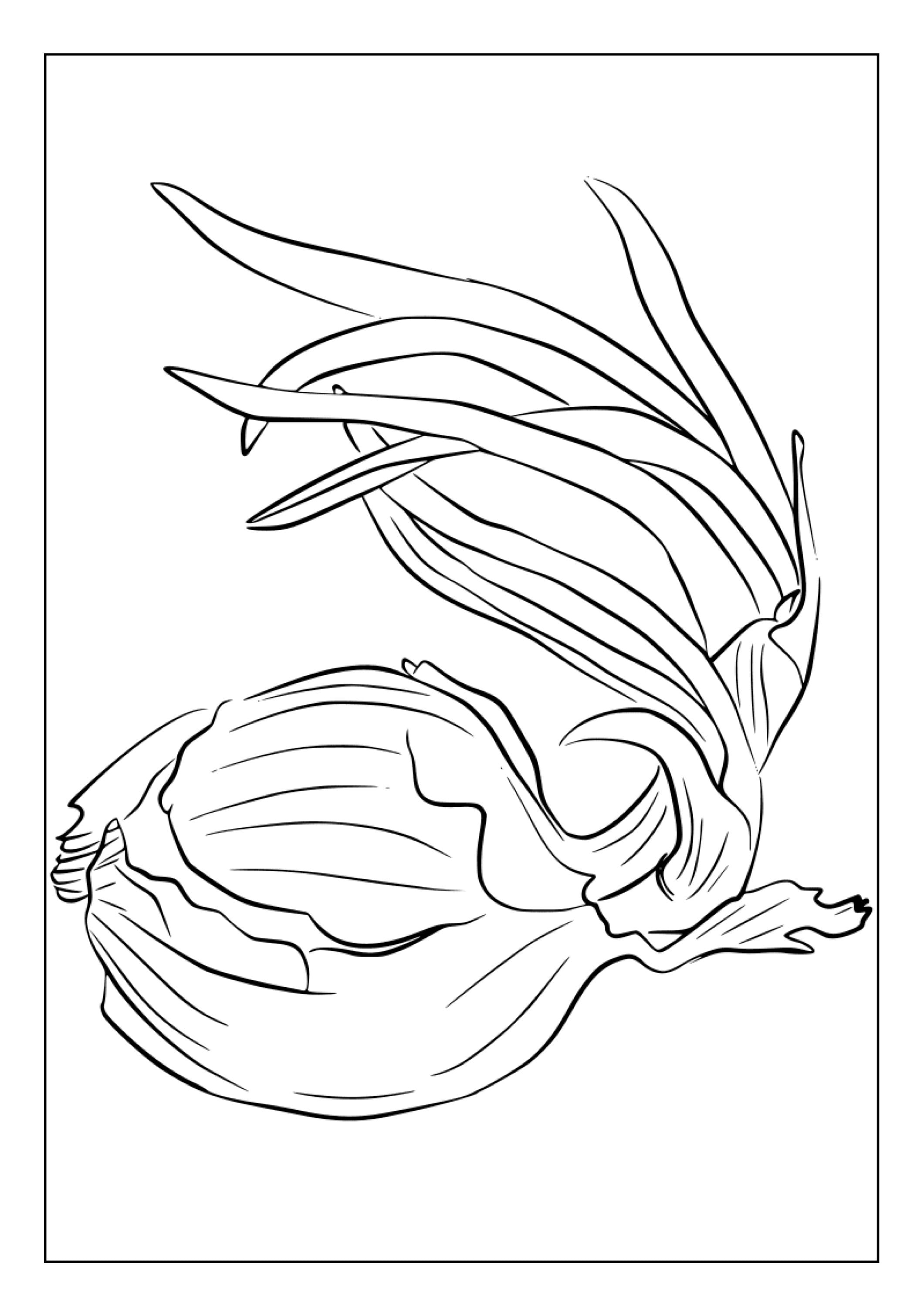 Printable Onion Coloring Pages for Kids & Adults | 30 Pages | Digital ...