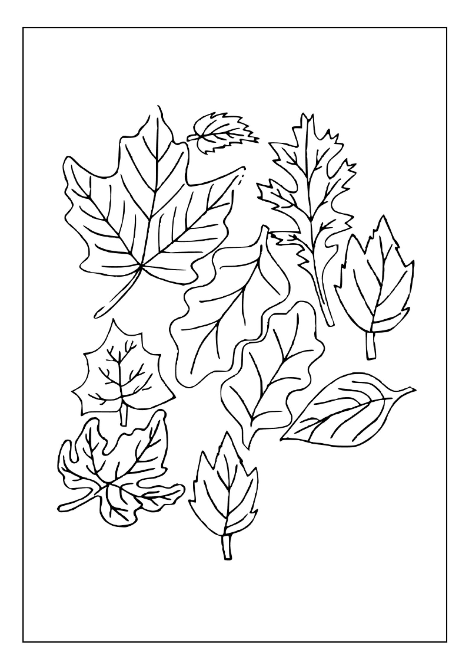 Printable Fall Leaf Coloring Pages for Kids and Adults | 60 Pages ...