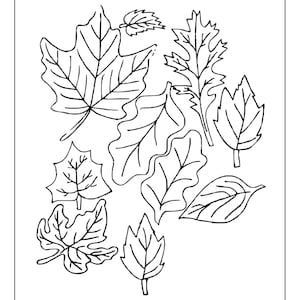 Printable Fall Leaf Coloring Pages for Kids and Adults | 60 Pages ...