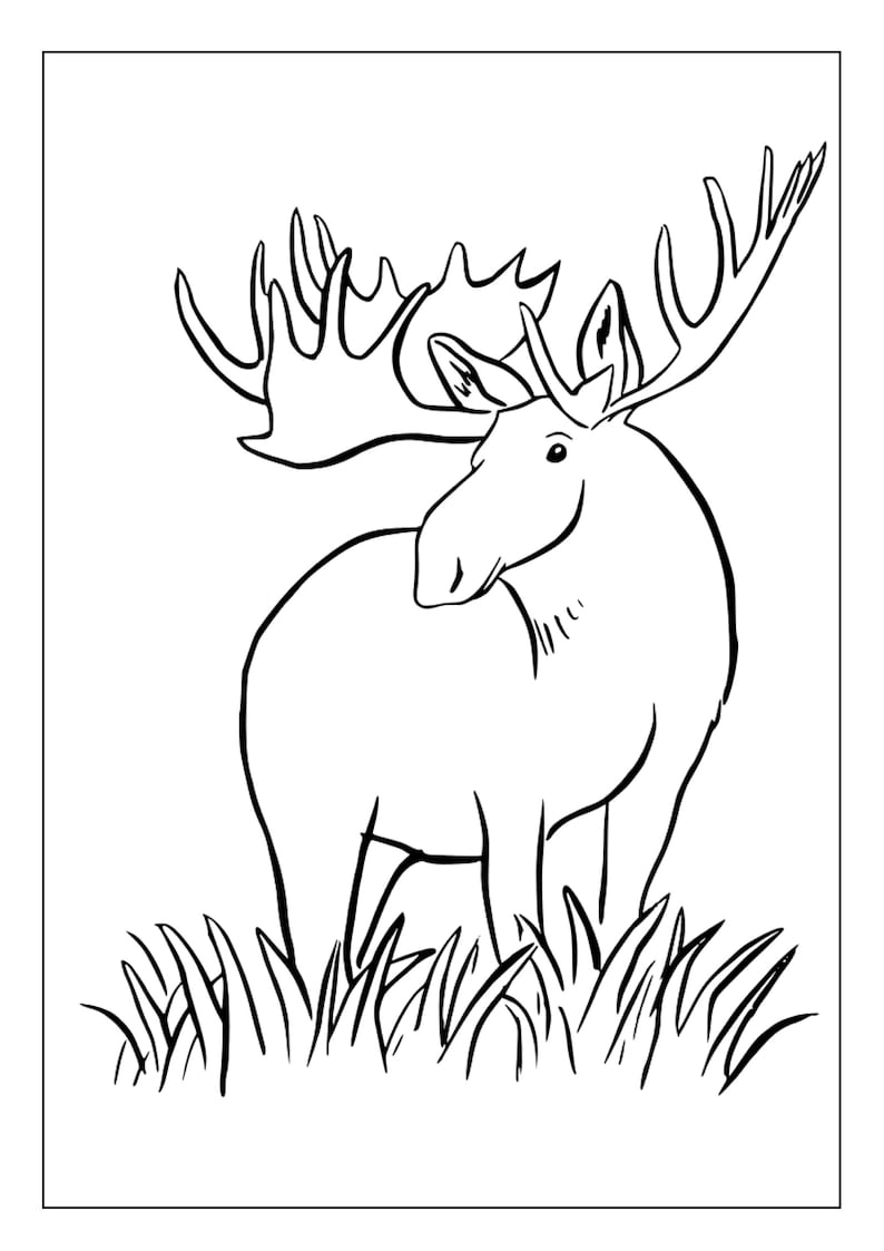 Printable Moose Coloring Pages for Kids & Adults | 35 Pages | Instant ...