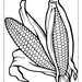 Printable Corn Coloring Pages for Kids & Adults | 25 Pages | Instant ...