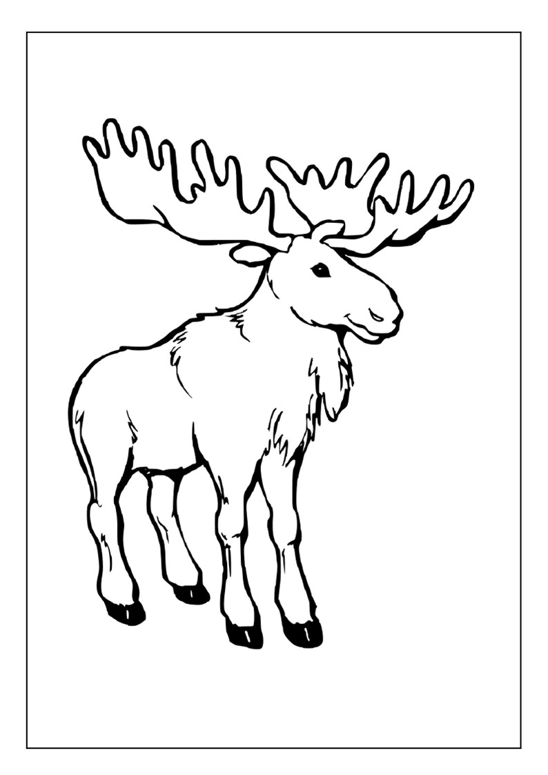 Printable Moose Coloring Pages for Kids & Adults | 35 Pages | Instant ...