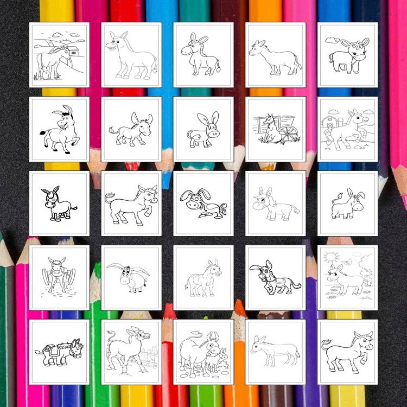 Printable Donkey Coloring Pages for Kids & Adults | 30 Pages | Instant ...