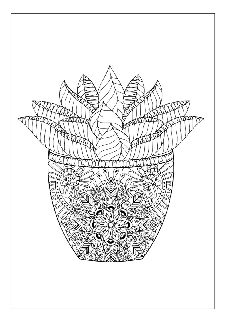 Printable Succulent Coloring Pages for Kids & Adults | 30 Pages ...