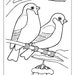 Printable Bird Coloring Pages for Kids and Adults | 70 Pages | Instant ...