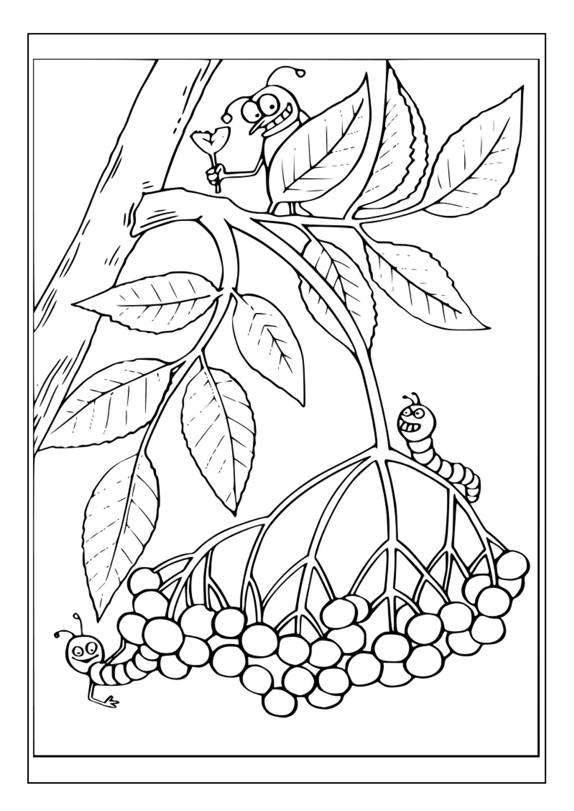 Printable Autumn Fall Coloring Pages for Kids and Adults | 55 Pages ...