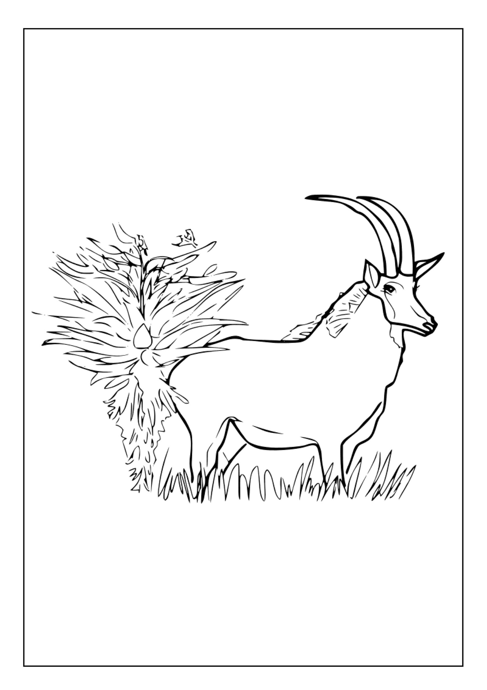 Printable Antelope Coloring Pages for Kids & Adults |35 Pages | Digital ...