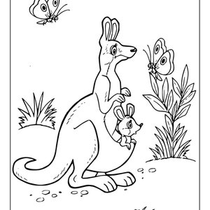 Printable Kangaroo Coloring Pages for Kids & Adults | 45 Pages ...