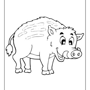 Printable Boar Coloring Pages for Kids & Adults |30 Pages | Instant ...