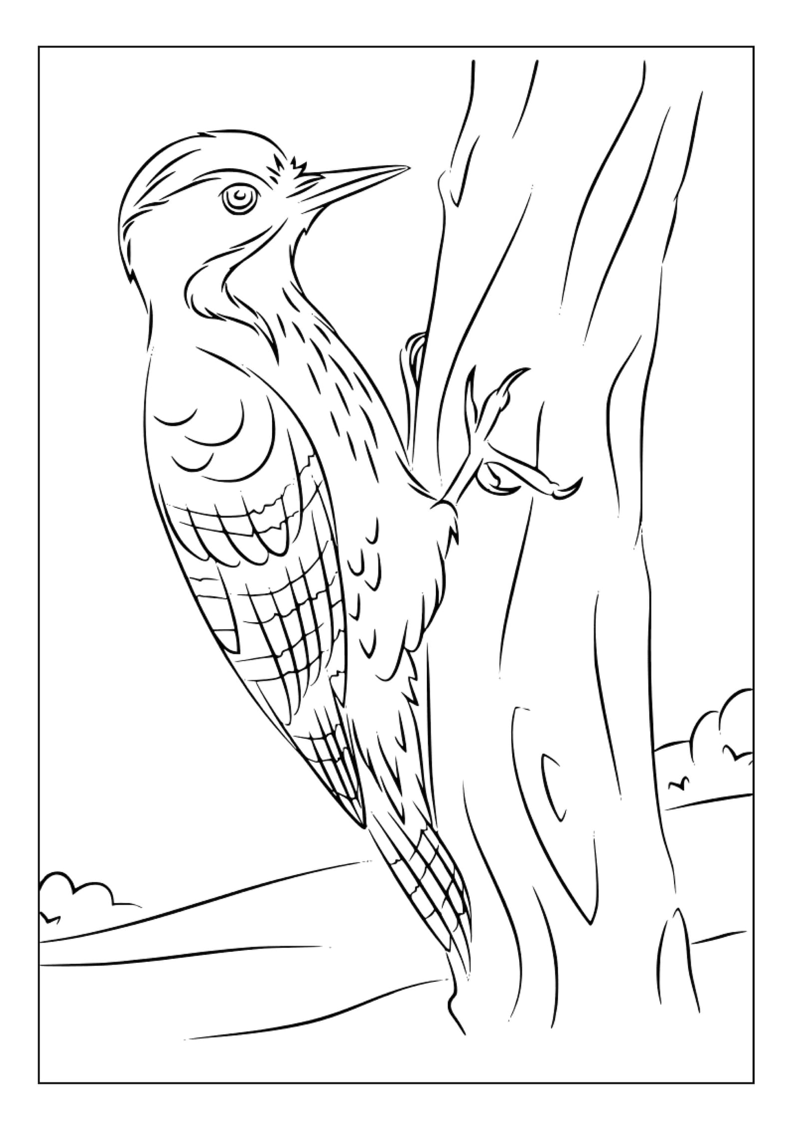 Printable Bird Coloring Pages for Kids and Adults | 70 Pages | Instant ...