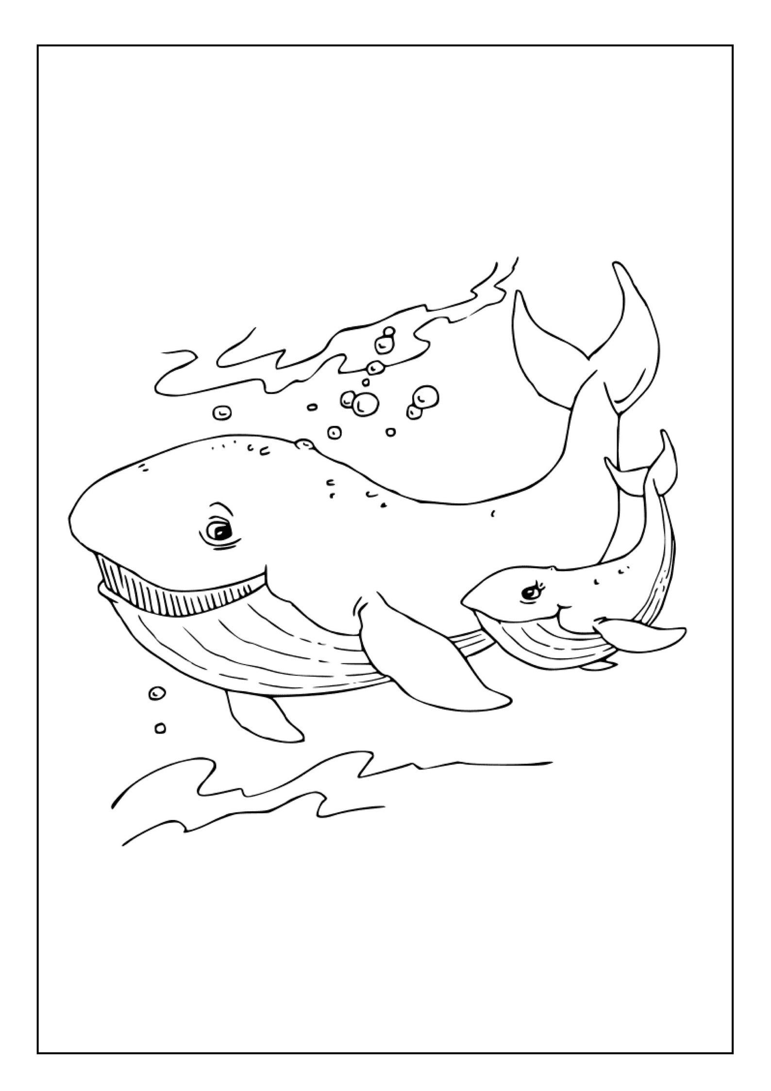 Printable Whale Coloring Pages for Kids and Adults | 90 Pages | Instant ...