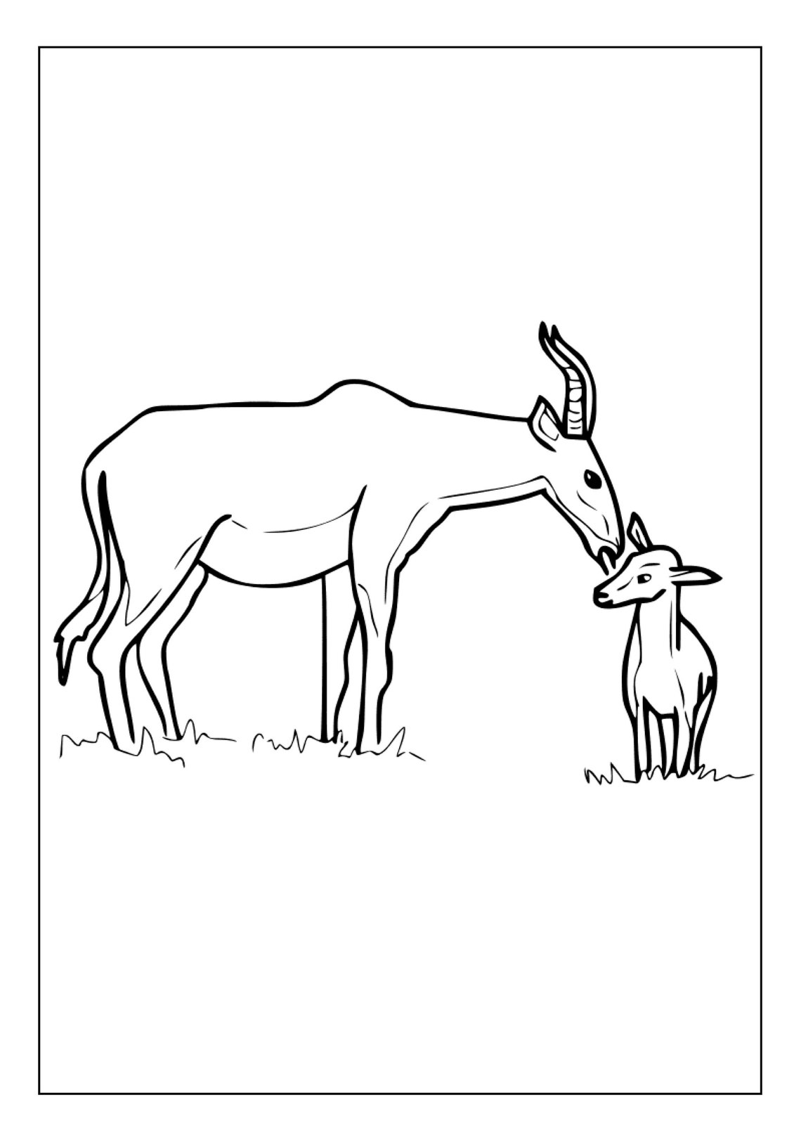 Printable Antelope Coloring Pages for Kids & Adults |35 Pages | Digital ...