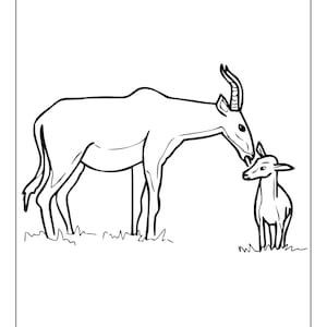 Printable Antelope Coloring Pages for Kids & Adults |35 Pages | Digital ...